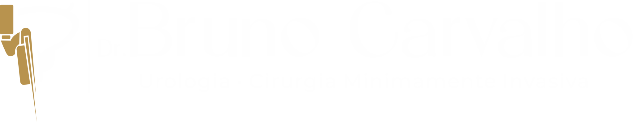 nefrologista campo grande meier rio de janeiro rj - Dr. Bruno Carvalho ...